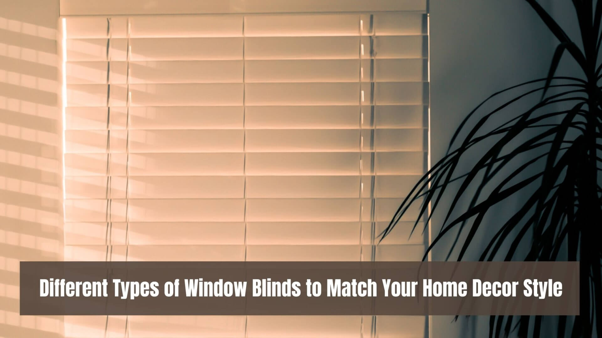 Different Types of Window Blinds to Match Your Home Décor Style